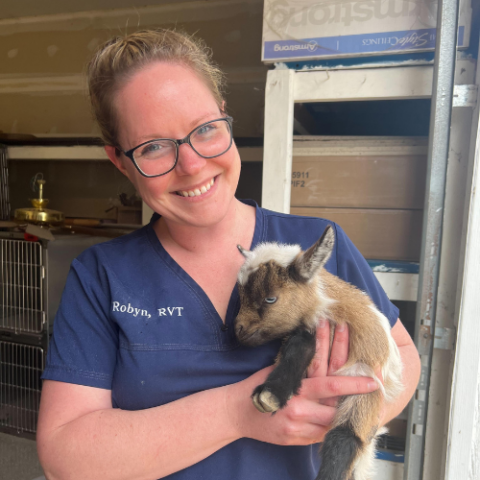 Fredericksburg, VA 22407 Veterinarians | Four Paws Animal Hospital ...